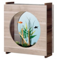 Vente en ligne d'aquarium Aquadéco et Aquafashion, aquarium design